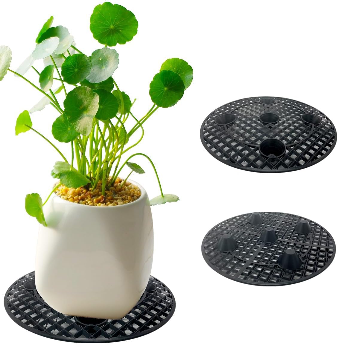 Amazon.com : Zeromall Plant Risers for Pots Indoor, Plant Stands, Pack Plant Elevator for ...