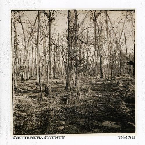 Oktibbeha County: WSNB, WSNB, Chris Whitley, Traditional: Amazon.es: CD ...