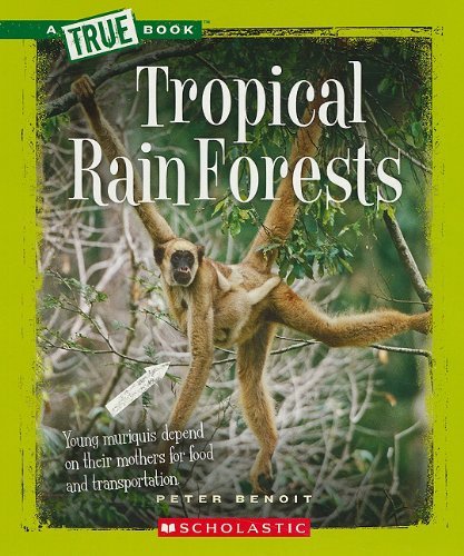 Tropical Rain Forests By Benoit Peter: Benoit Peter: 9780531281031: Amazon.com: Books