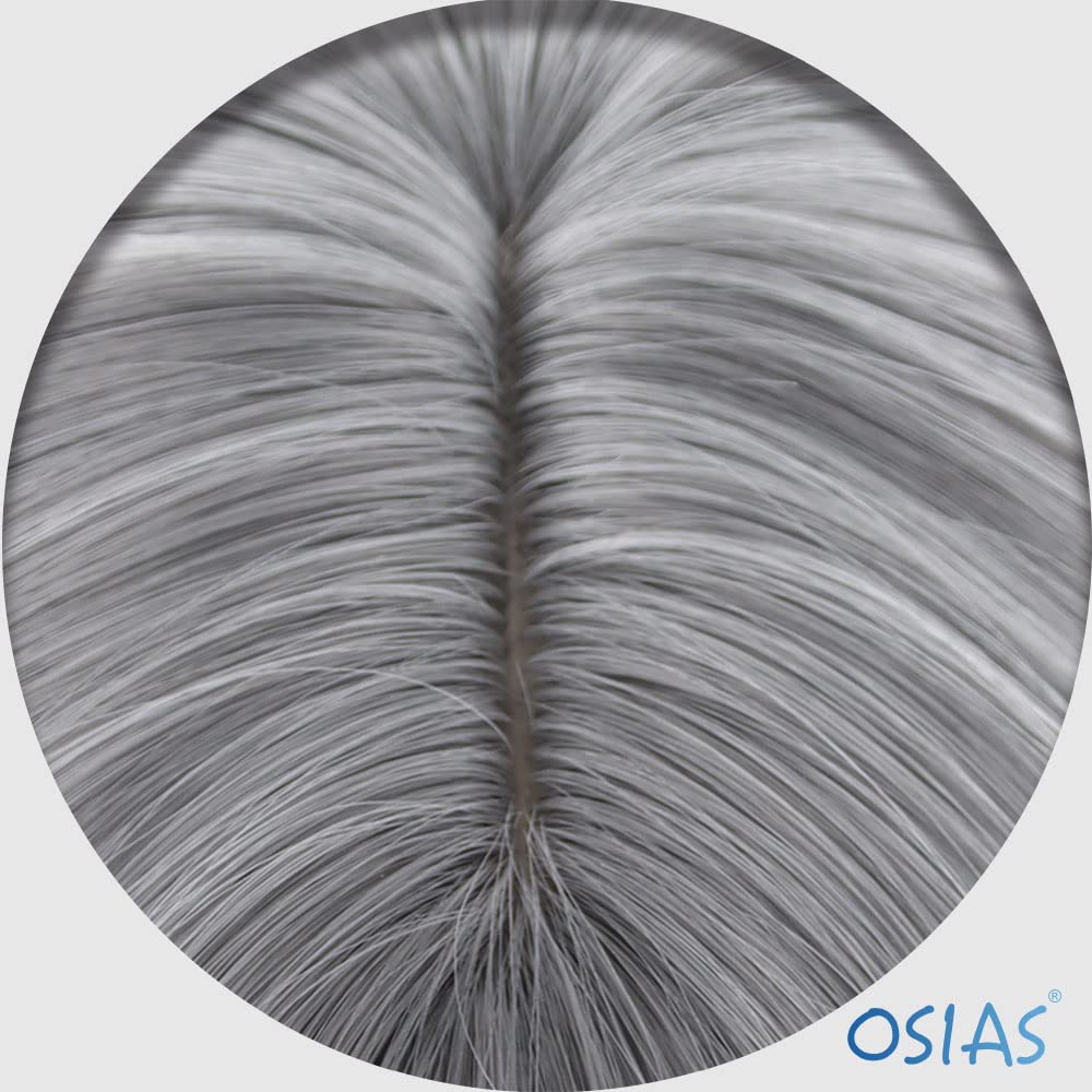 Snapklik.com : Grey Straight Short Wig For Caelus Cosplay From Honkai ...
