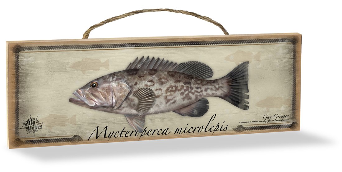 Buy Advanced Graphics Wood Sign, Gag Grouper Online at Low Prices in ...