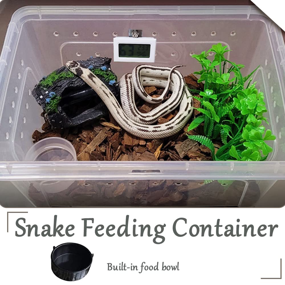 Snapklik.com : Reptile Breeding Box Set Portable Gecko Feeding Hatching ...