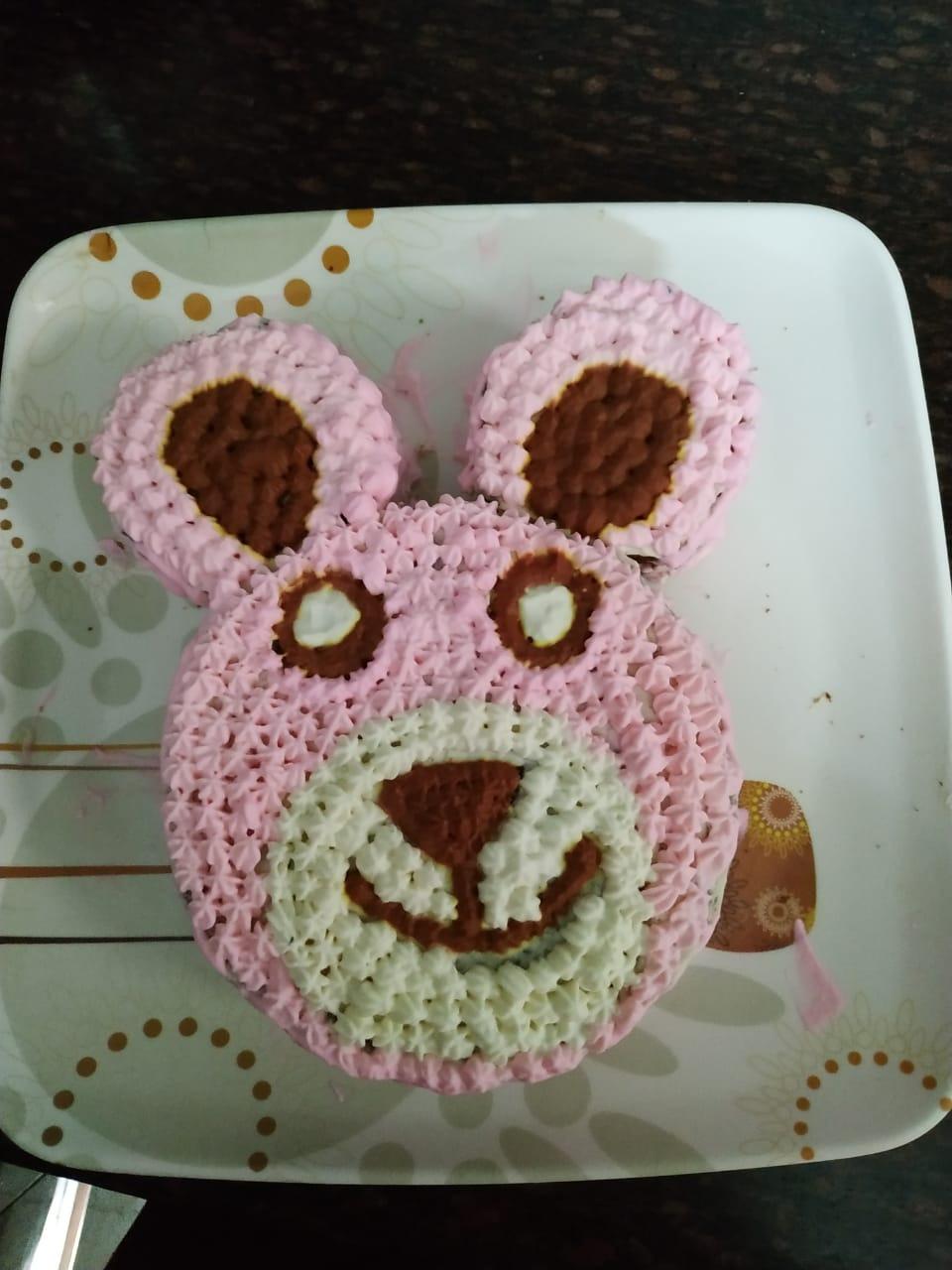 JANTA Combo Pack Of Synthetic Liquid Food Color Of Raspberry Red ...