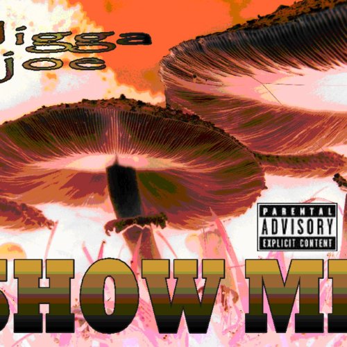 Amazon.com: Show Me [Explicit] : Jigga Joe: Digital Music