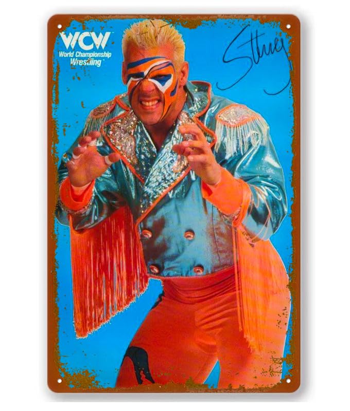 Amazon.com : Vintage Tin Aluminum Signs Sting 1991 WCW Wrestling Poster ...