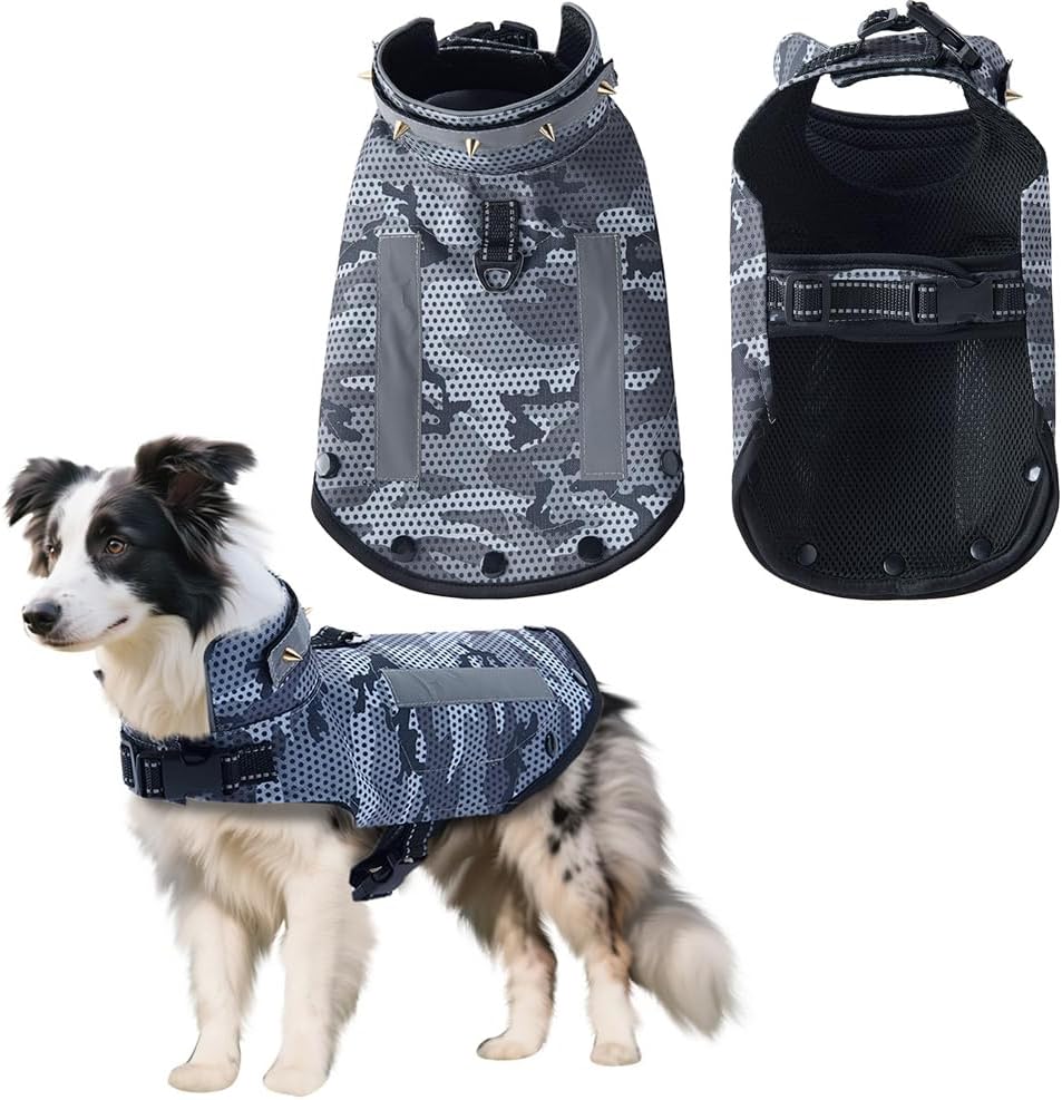 Amazon.com : Hawk Proof Vest for Small Dogs Protection Spike Safety ...