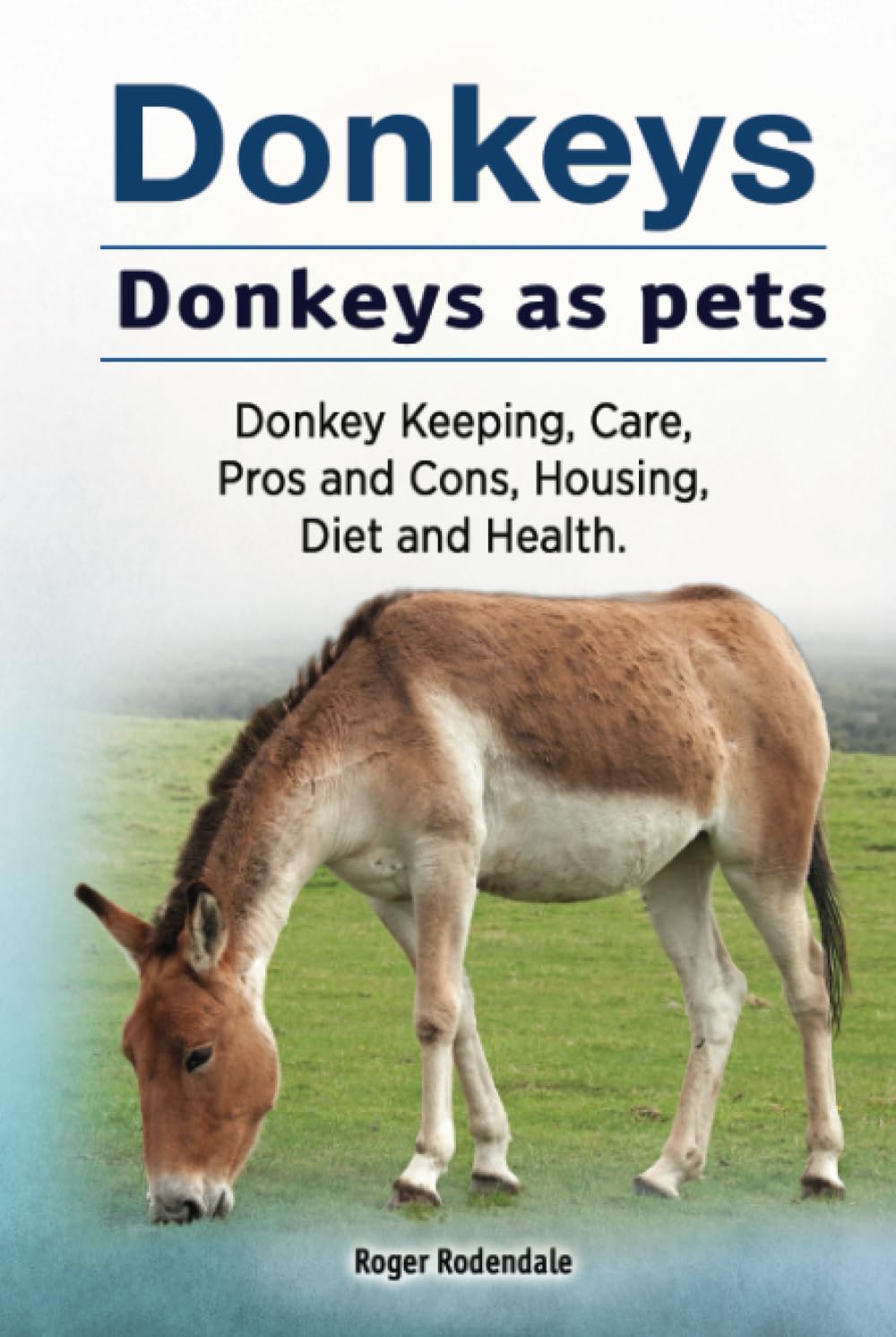 Donkeys. Donkeys as pets. Donkey Keeping, Care, Pros and Cons, Housing ...