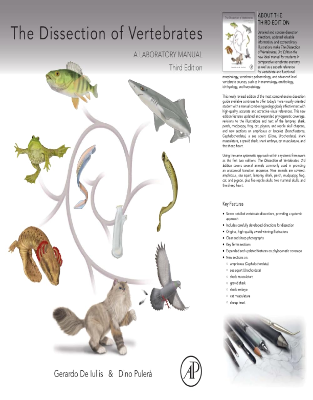Amazon.com: The Dissection of Vertebrates: 9780124104600: De Iuliis PhD ...