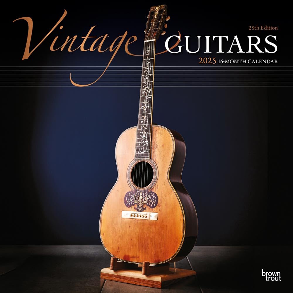 Snapklik.com : Vintage Guitars 2025 12 X 24 Inch Monthly Square Wall ...