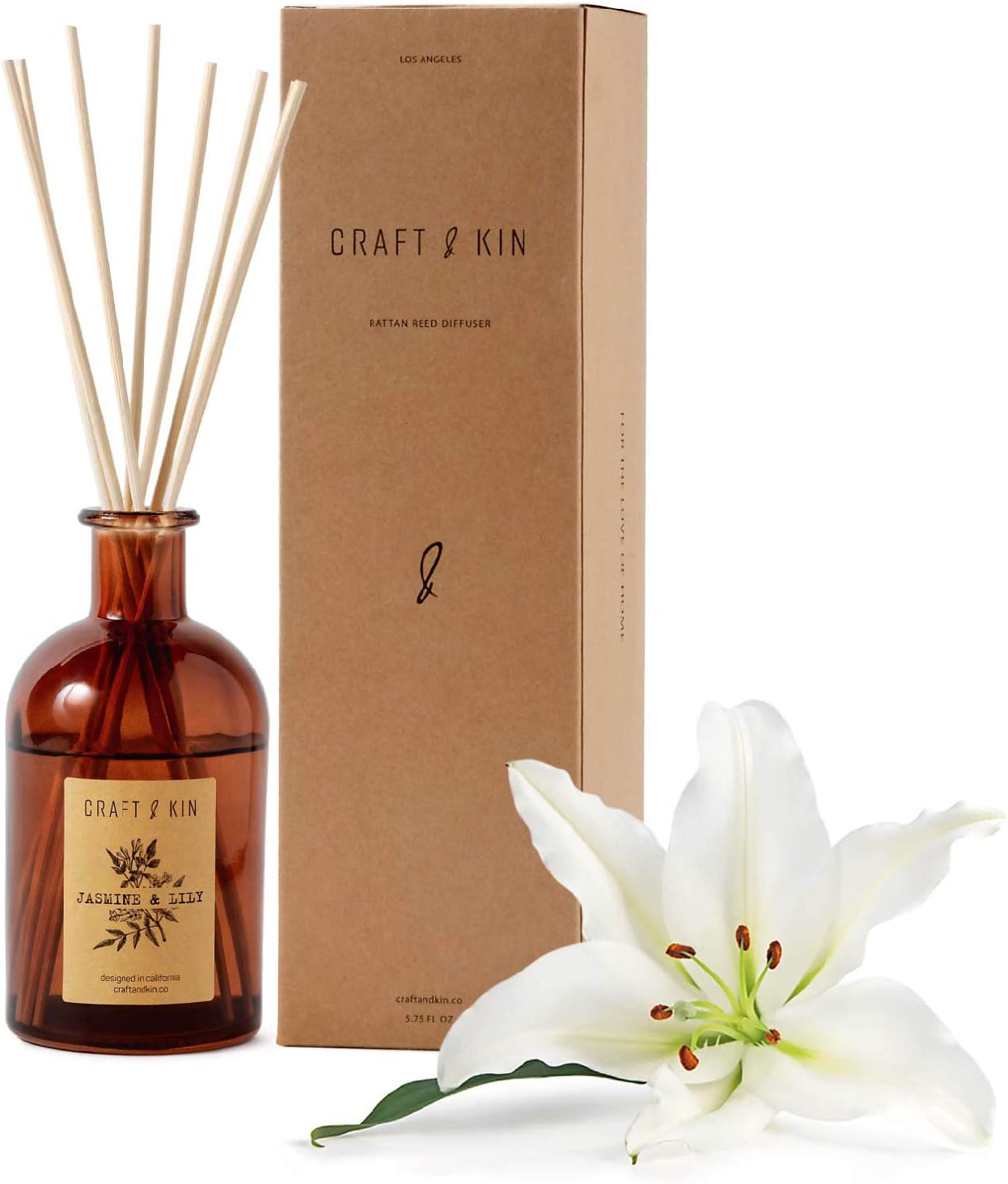 Amazon.com: Life in Lilac Always Welcome Diffuser: Spice and Cedar ...