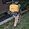 Amazon.com : Dewalt 190681 20V MAX 4 gal. Lithium-ion Cordless Backpack ...