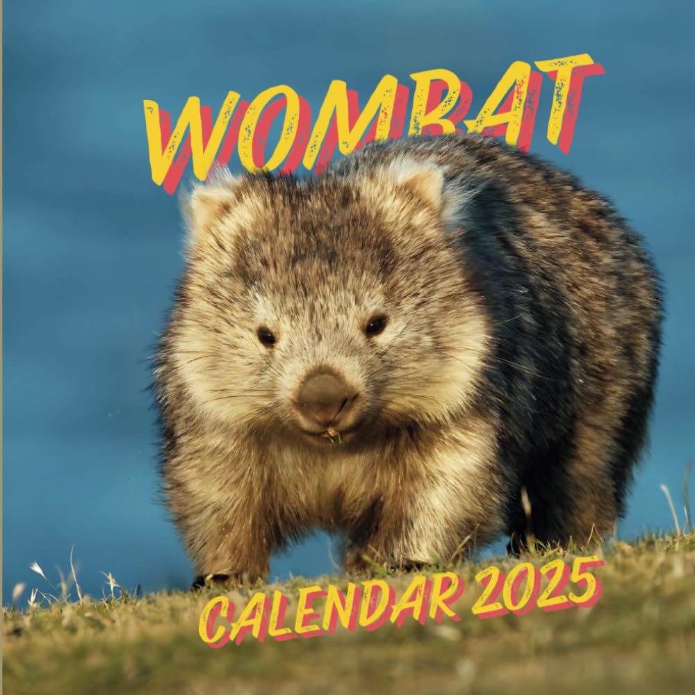Wombat 2025 Calendar 12 Months Of The Australian Animal From ...