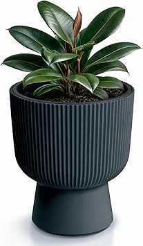 Prosperplast Milly Designer-Blumentopf Modernes Zylinderdesign inkl ...