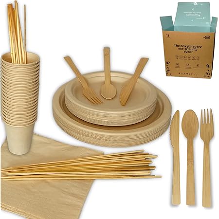 227 PCS, Premium Disposable Dinnerware Set | Disposable Plates, Bamboo ...