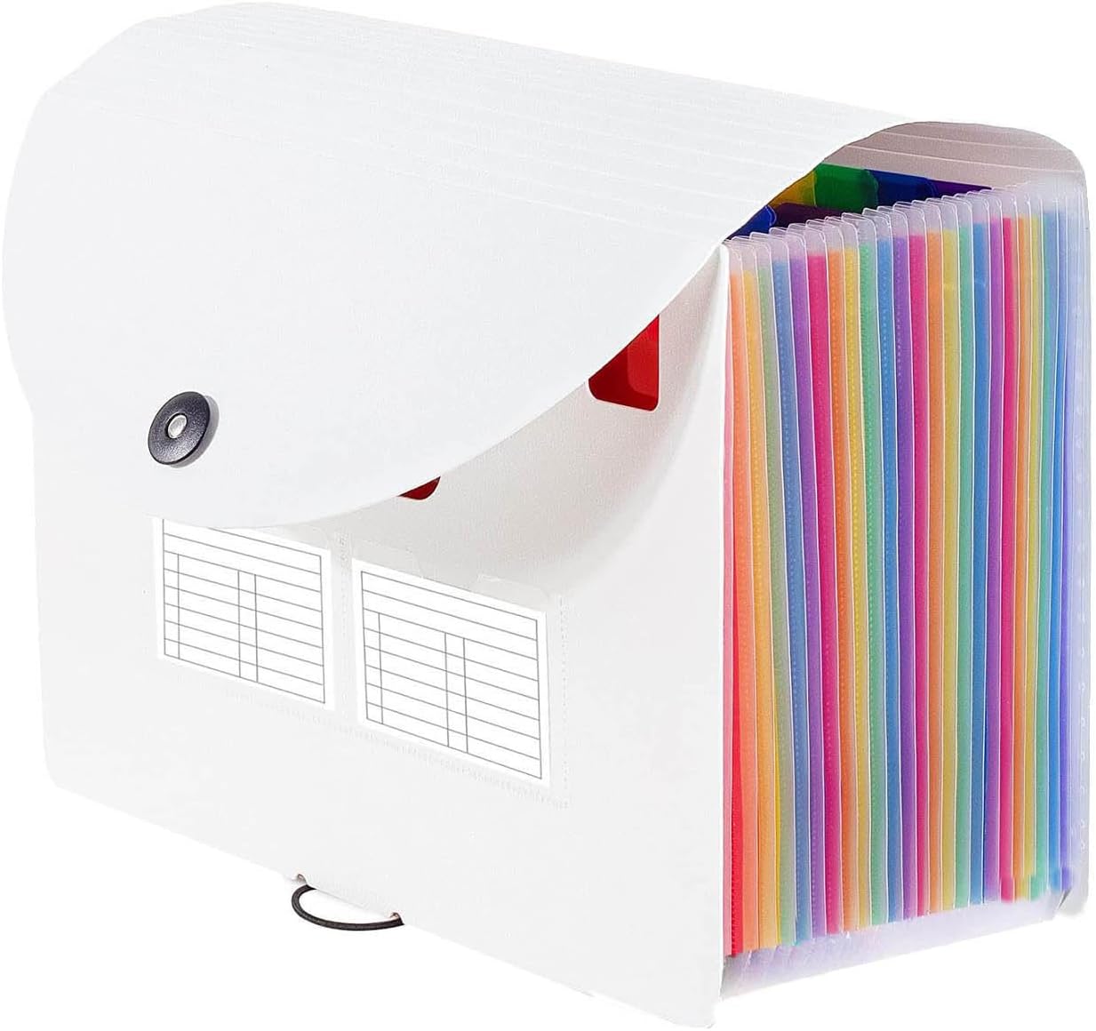 Seagull flight of fashion 24 Pockets Expanding File Folder with Blank ...