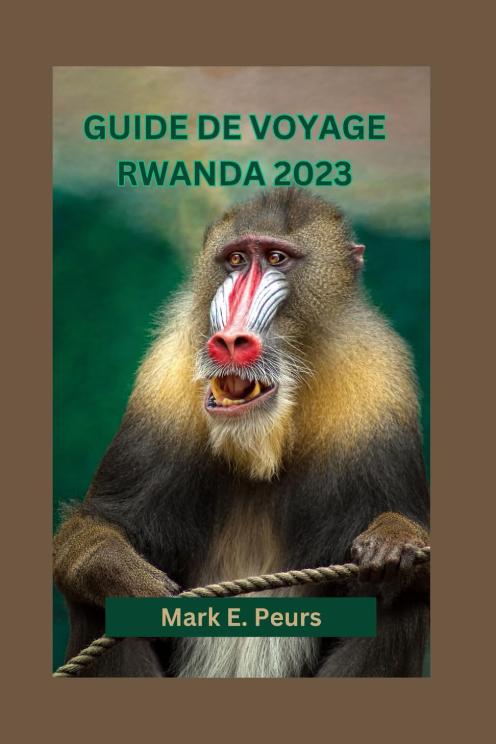 GUIDE DE VOYAGE RWANDA 2023: Guide du débutant au Rwanda : Explorez le ...
