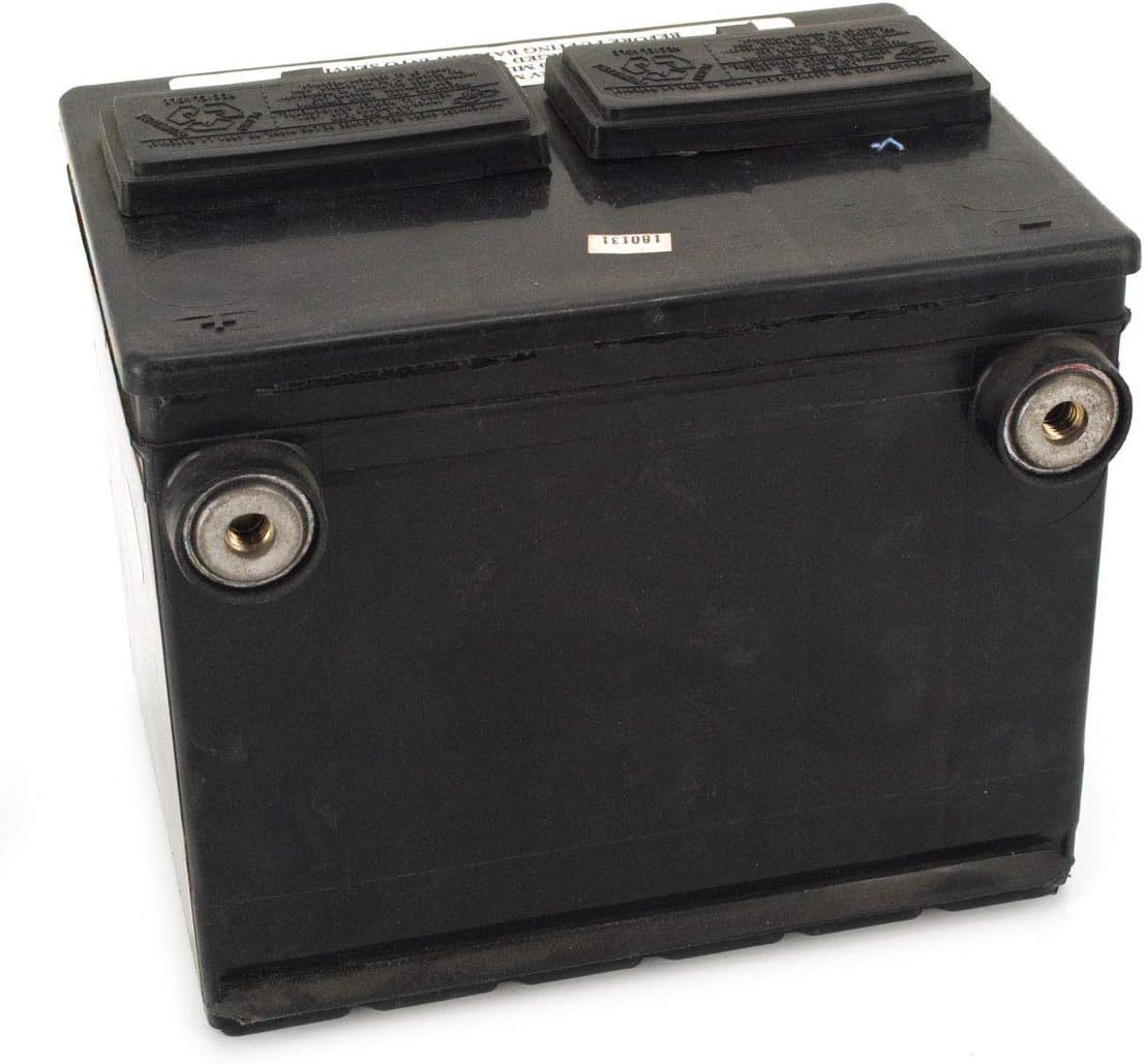 Amazon.com: Grasshopper Mower Sidepost Design 12-Volt Battery ...