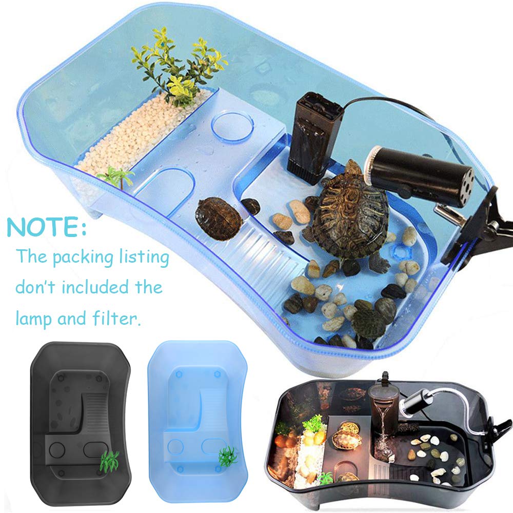 Aquarium Turtle Feeding at Gwendolyn Samuels blog