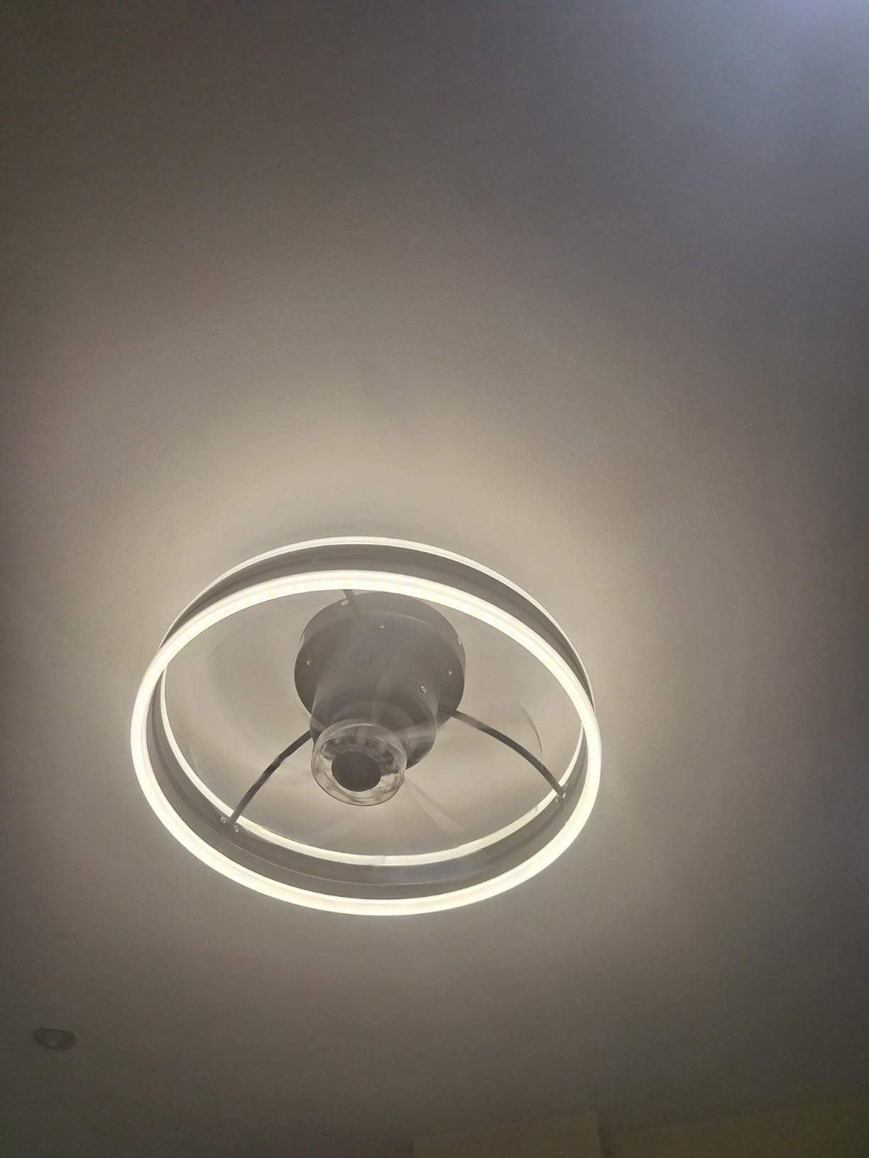 Bacowikin 360° Oscillating Ceiling Fans with Light and Remote, Air ...
