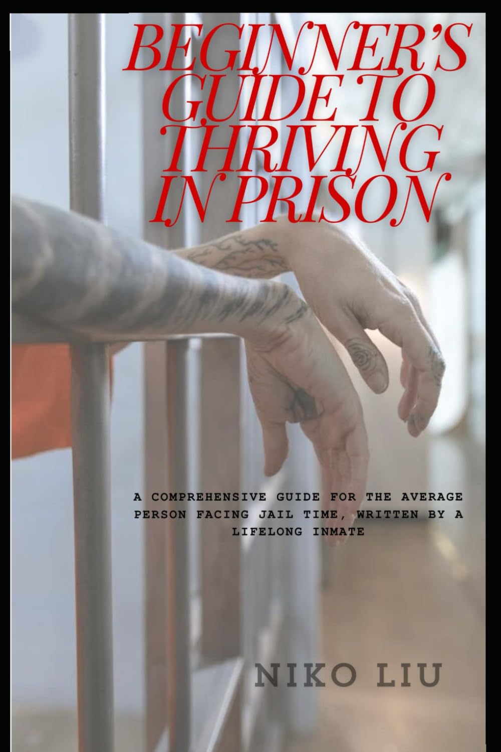 Amazon.com: Beginner’s Guide to Thriving in Prison: A comprehensive ...