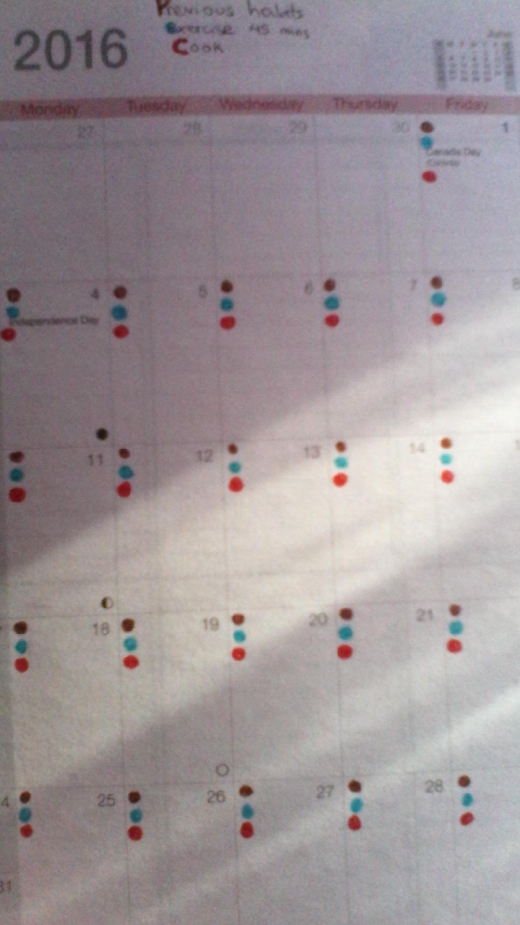 Amazon.com : Action Annual Weekly Day Planner : Office Products