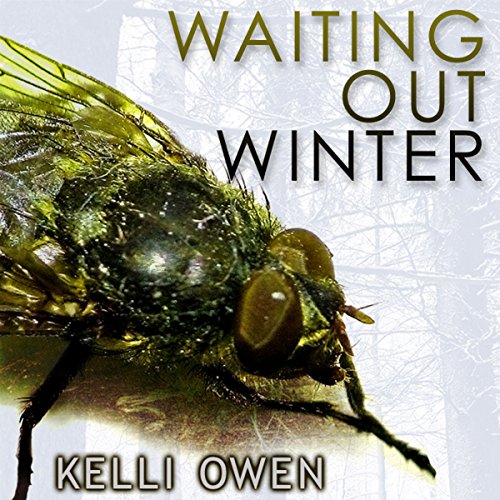 Amazon.com: Waiting Out Winter (Audible Audio Edition): Kelli Owen ...