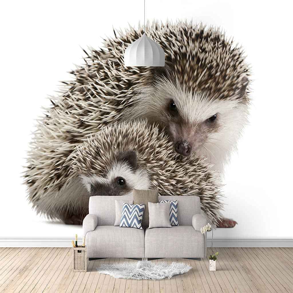 Wallpaper Borders With Hedgehogs 10,600+ Funny Hedgehog Stock Photos,