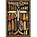 Amazon.com: Indian Corn of America - Art Print Poster - 24x36inches ...