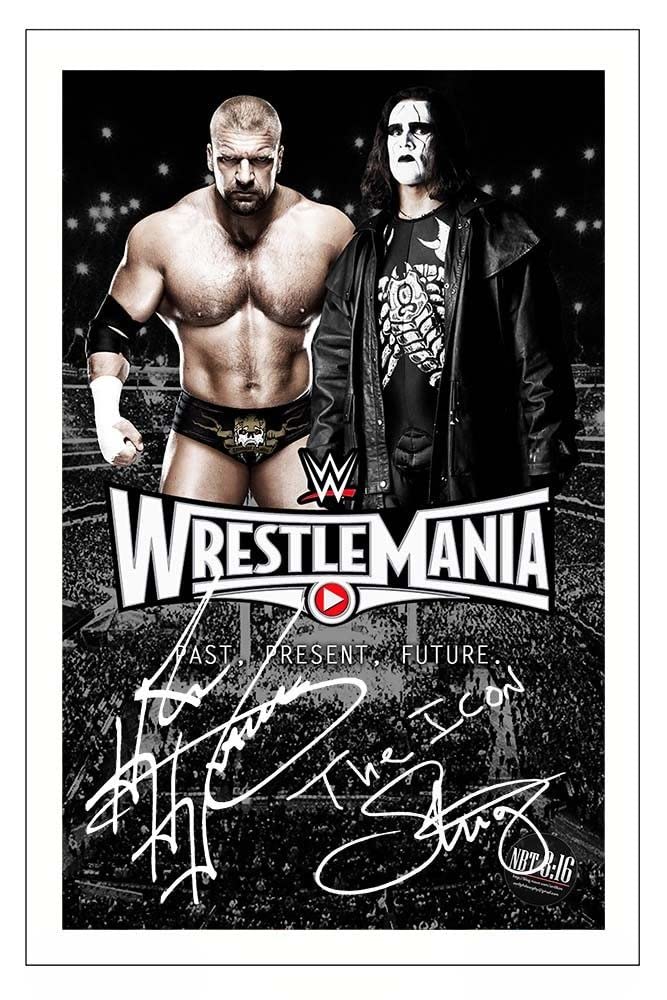 Wrestlemania 31 Poster Sting