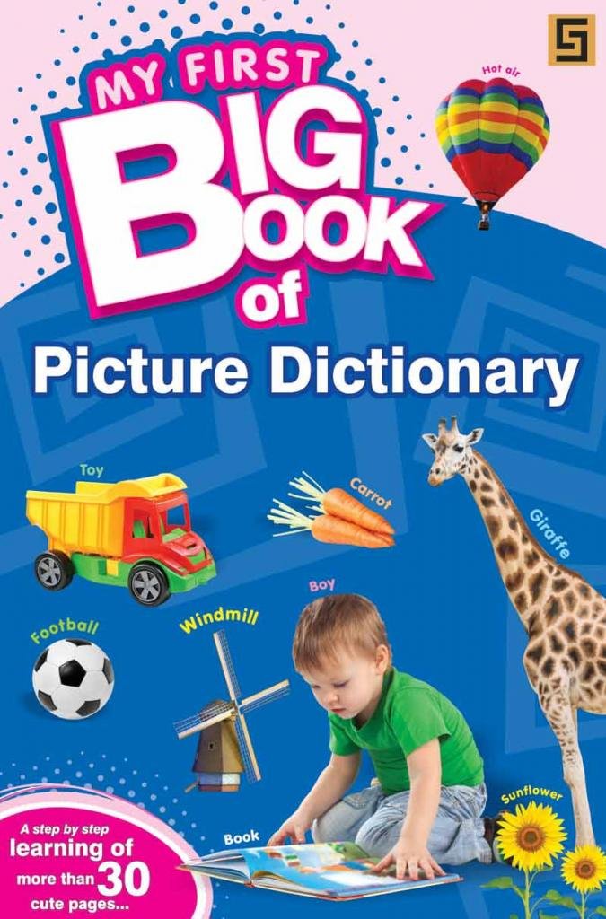 Buy MY FIRST BIG BOOK OF PICTURE DICTIONARY Book Online at Low Prices ...