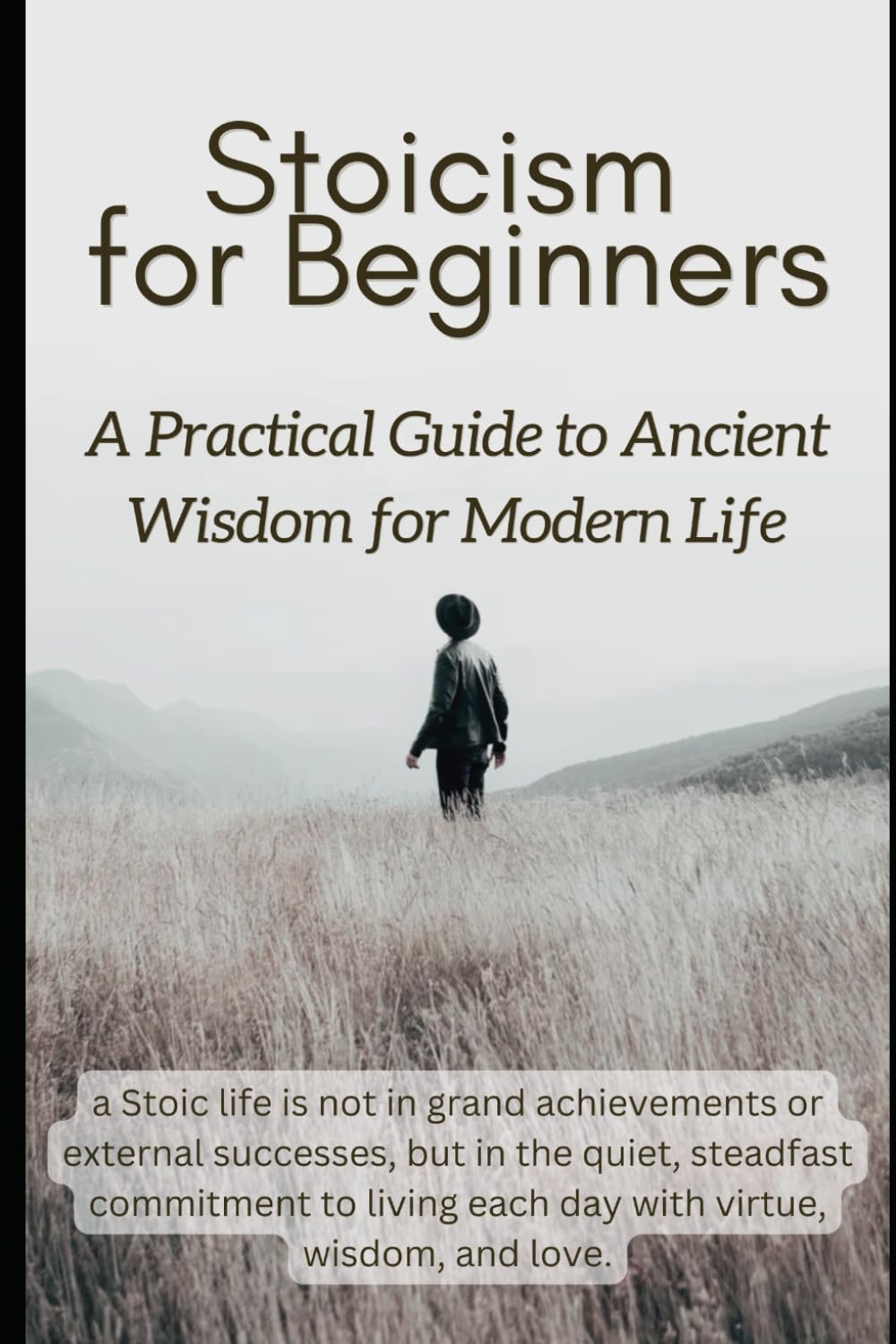 Stoicism for Beginners: A Practical Guide to Ancient Wisdom for Modern ...