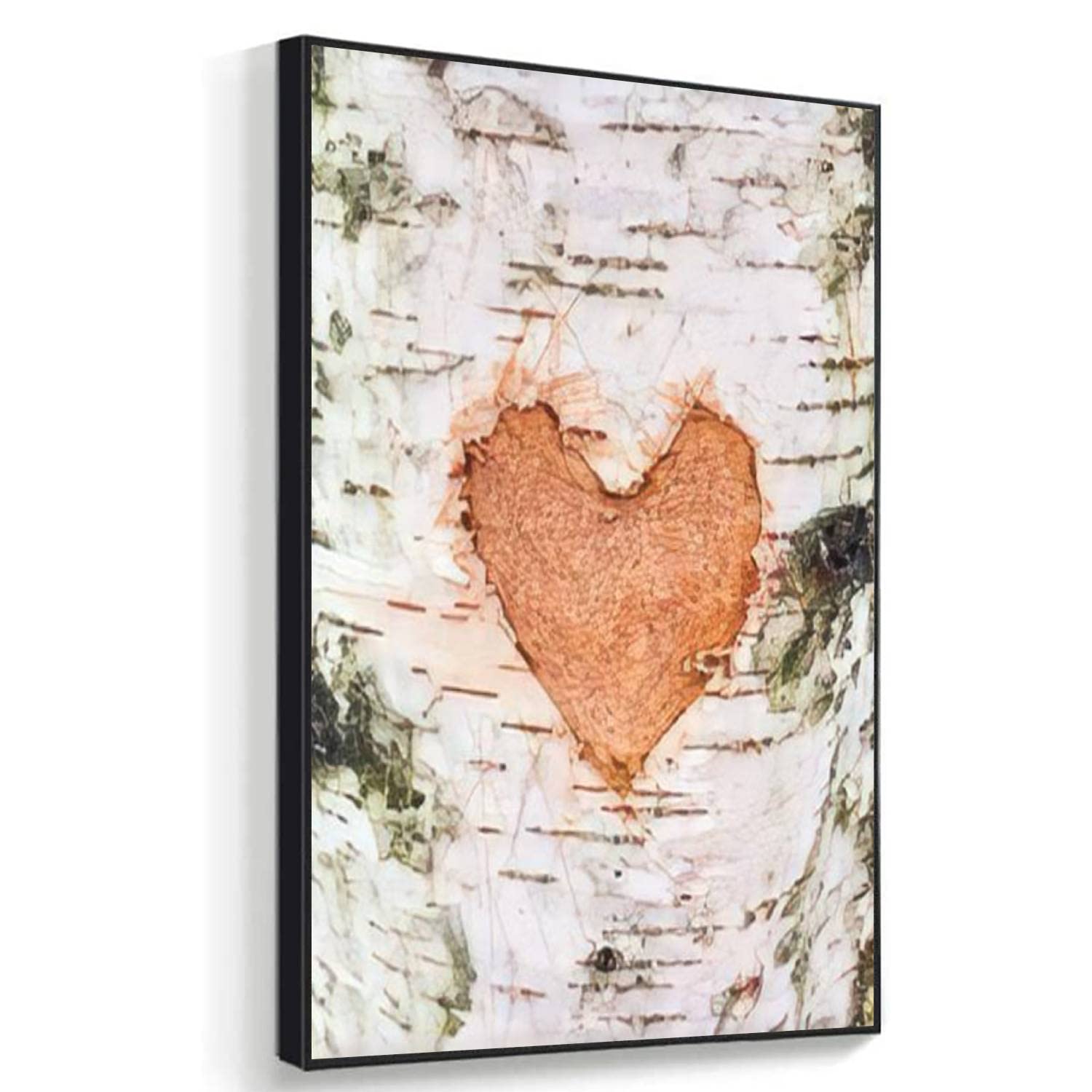 Heart Carved In Birch Tree