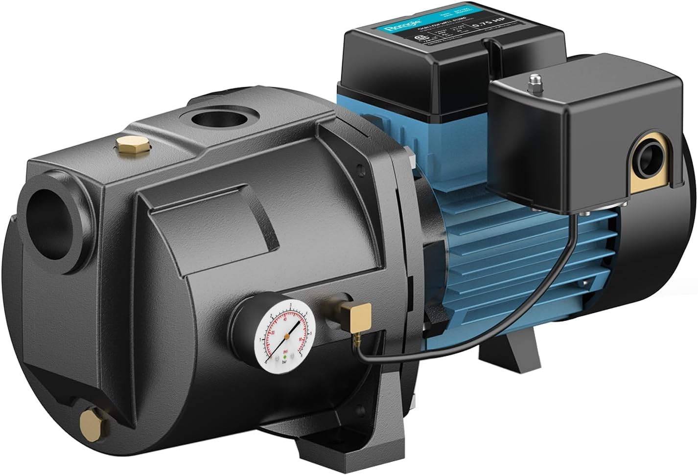 Flotec FP4012-10 1/2 HP Shallow Well Pump Jet - Sump Pumps - Amazon.com