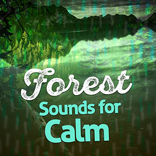 Play Forest Sounds for Calm by Natural Forest Sounds on Amazon Music