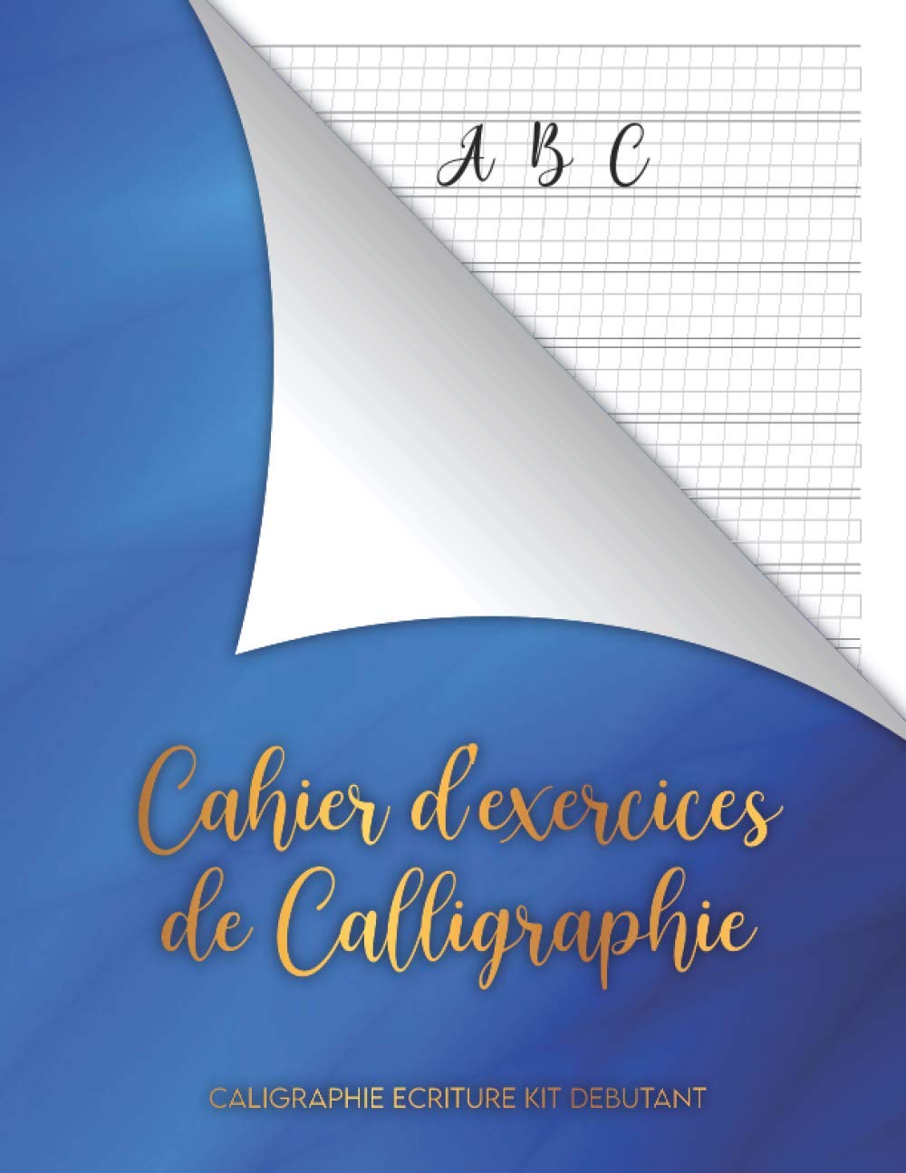 Buy Cahier d'exercices de Calligraphie: Manuel de Typographie / Livre ...