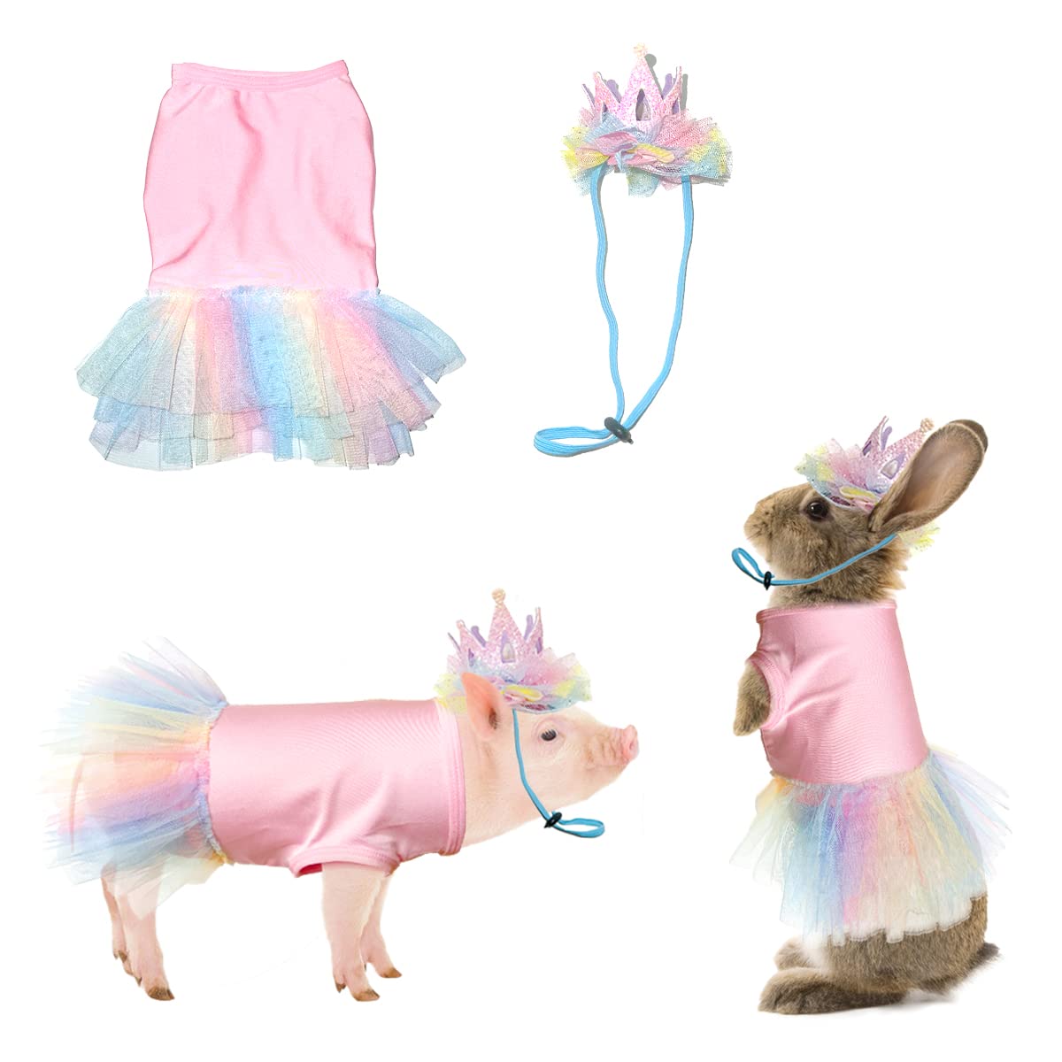 Cute Teacup Pig In Tutus