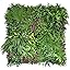 Tuda Grass Direct Artificial Living Green Wall Panel Decoration for ...