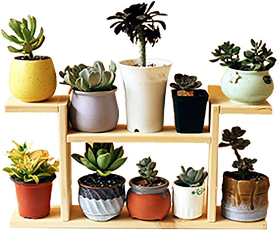 Amazon.com: Flower Stand Flower Stand, Wooden Mini Plant Display Ladder ...