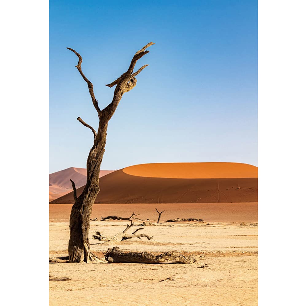 Barren Desert Tree