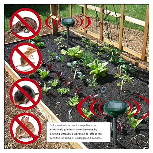 Solar Mole Scarer, Mole Defence, Mole Deterrent, Mole Repper Does Not ...