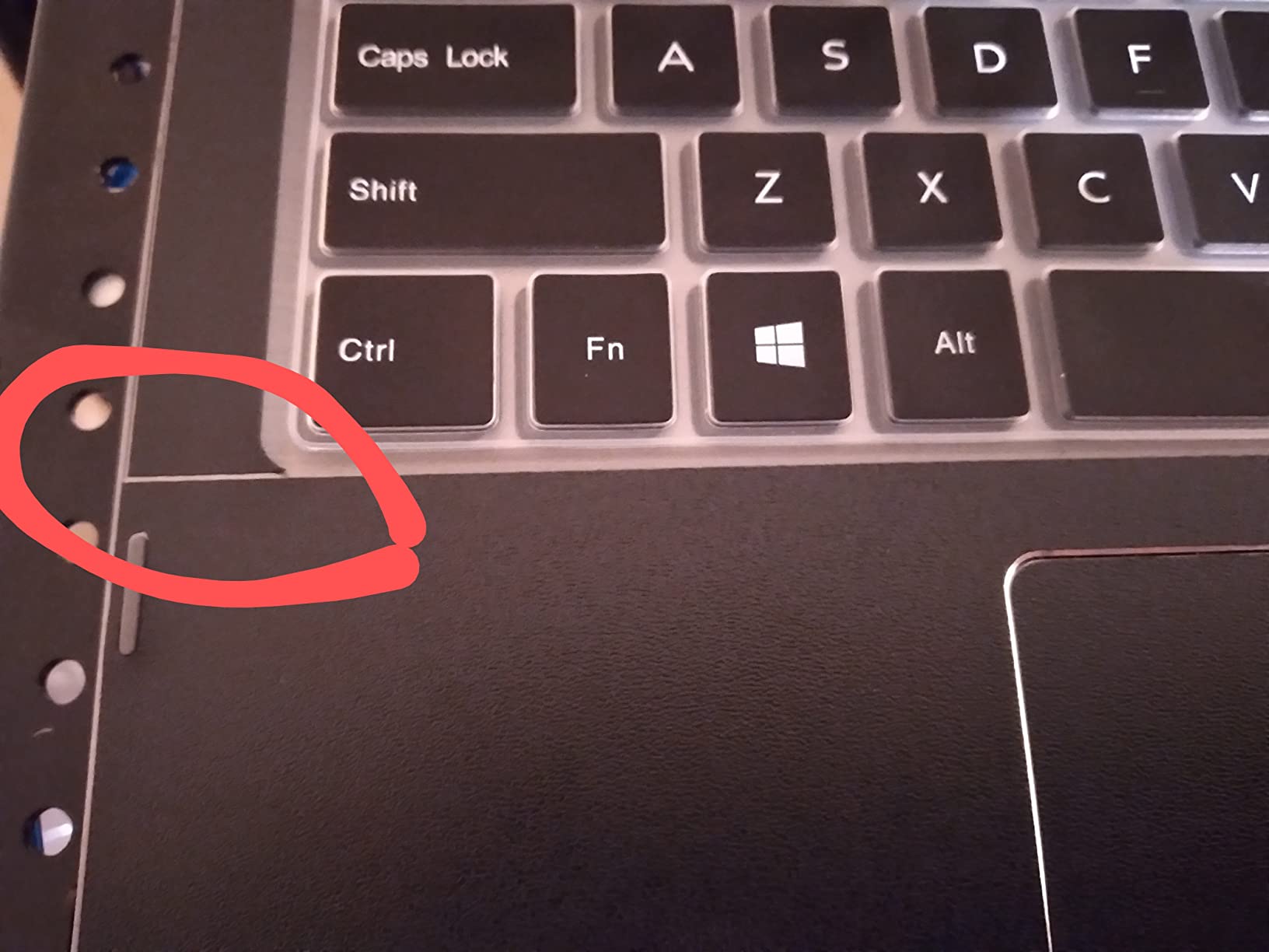 Amazon.com: Palmrest Decal Sticker (2-Pack) + Keyboard Protector Cover ...