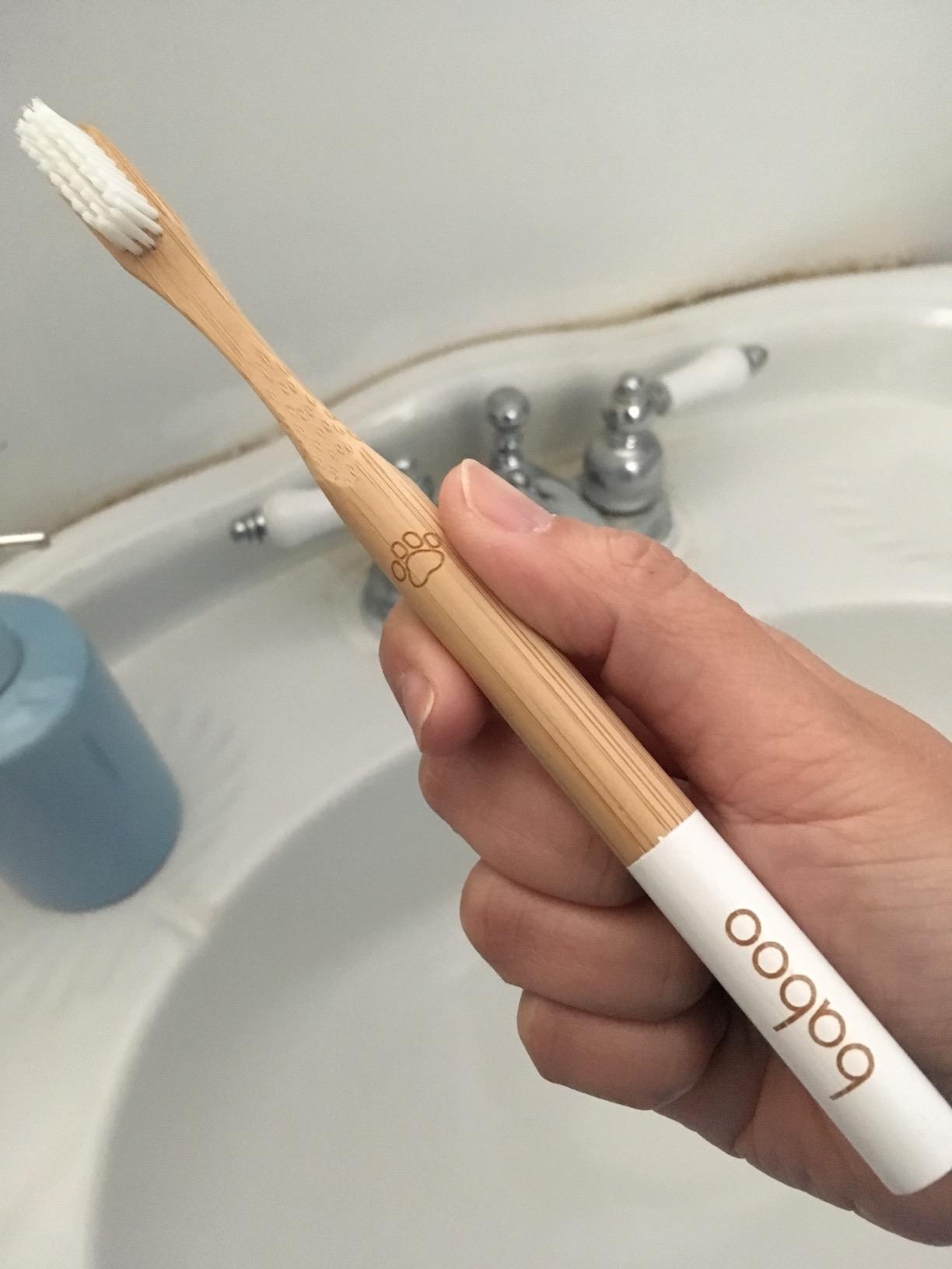 Amazon.com : BABOO Bamboo Toothbrush (3 PCS) - BPA Free - Soft Wooden ...