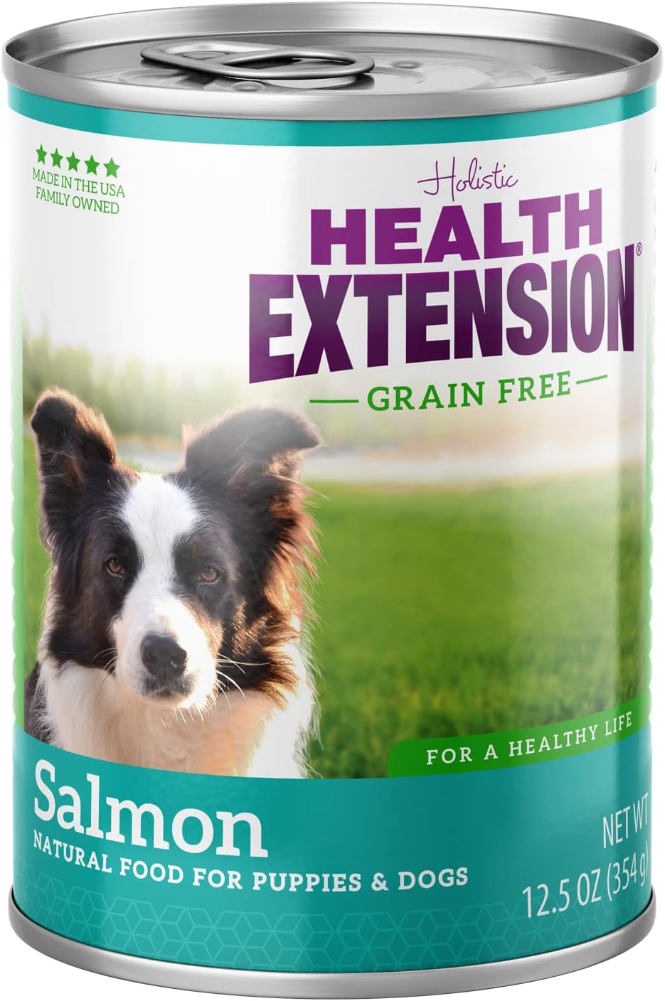 Amazon.com : Health Extension Salmon Entrée Wet Dog Food Grain-Free, 12 ...