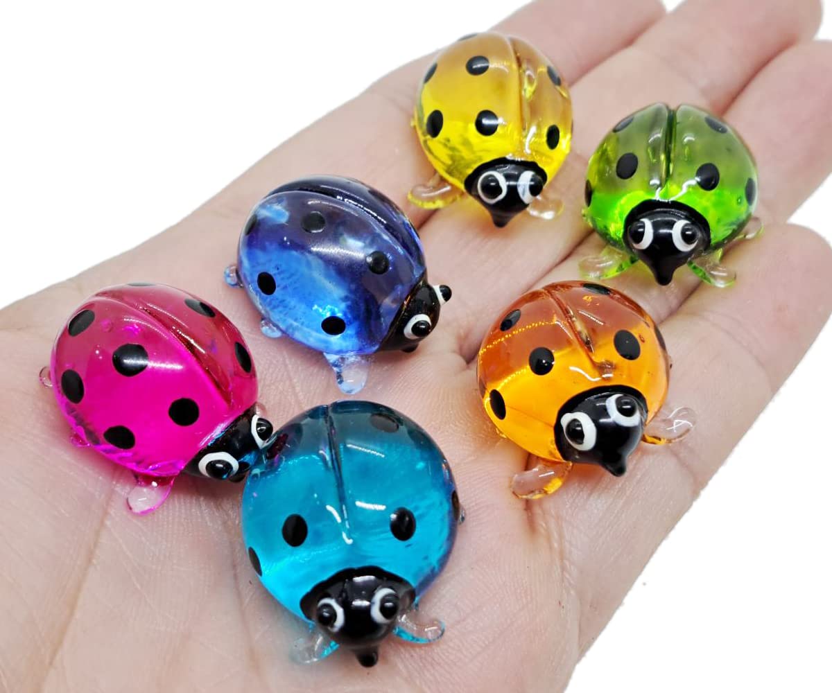 Real Colorful Ladybugs