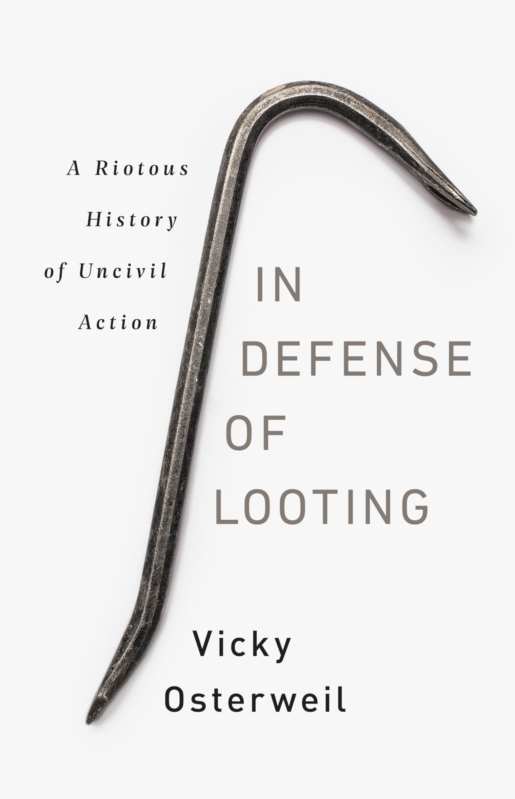 In Defense of Looting: A Riotous History of Uncivil Action: Osterweil ...