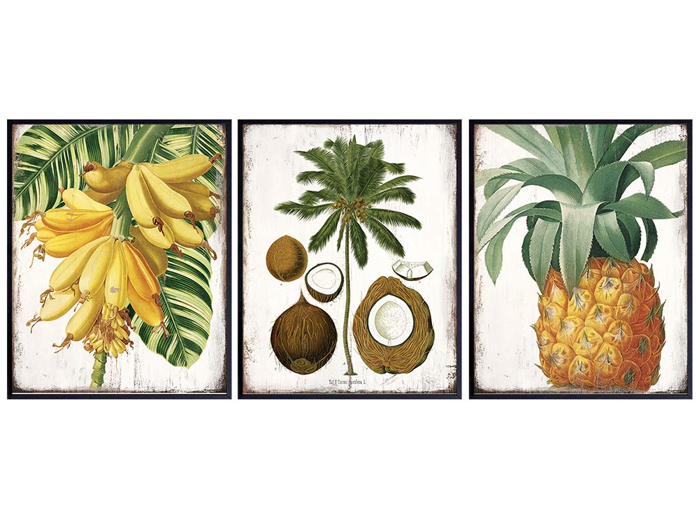 Amazon.com: Vintage Rustic Tropical Wall Decor Poster Set -8x10 ...