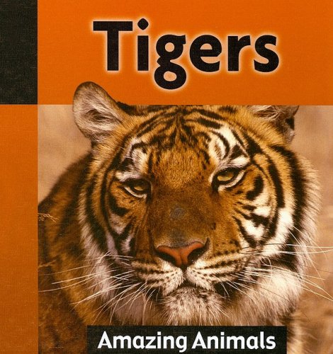 Amazon.com: Tigers (Amazing Animals): 9781590369623: Watson, Galadriel ...