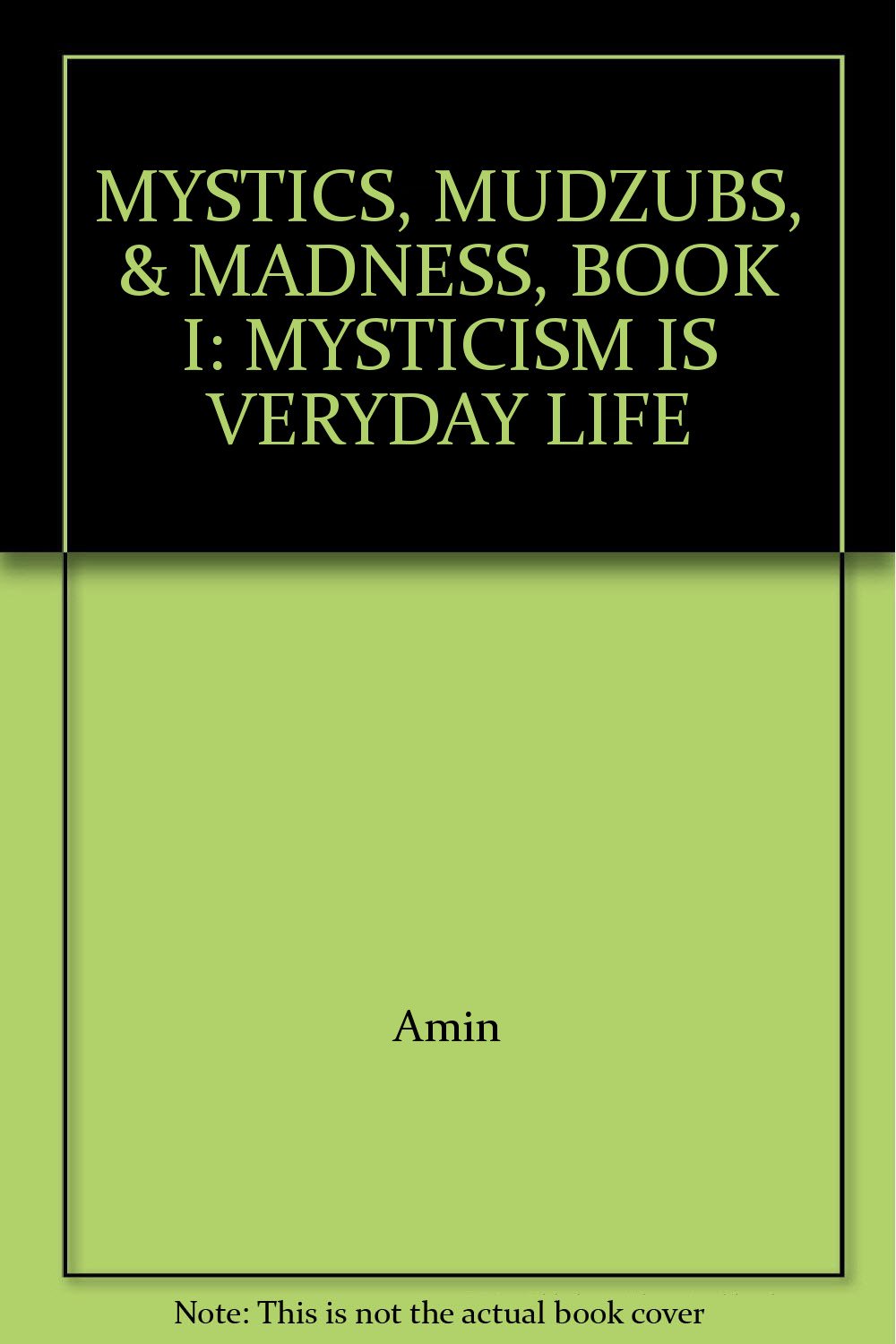 MYSTICS, MUDZUBS, & MADNESS, BOOK I: MYSTICISM IS VERYDAY LIFE: Amin ...