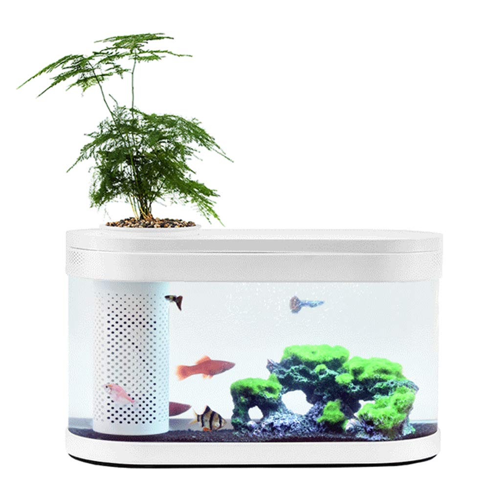 Buy Xiaomi Geometry Fish Tank Aquaponics Ecosystem Small Water Garden ...