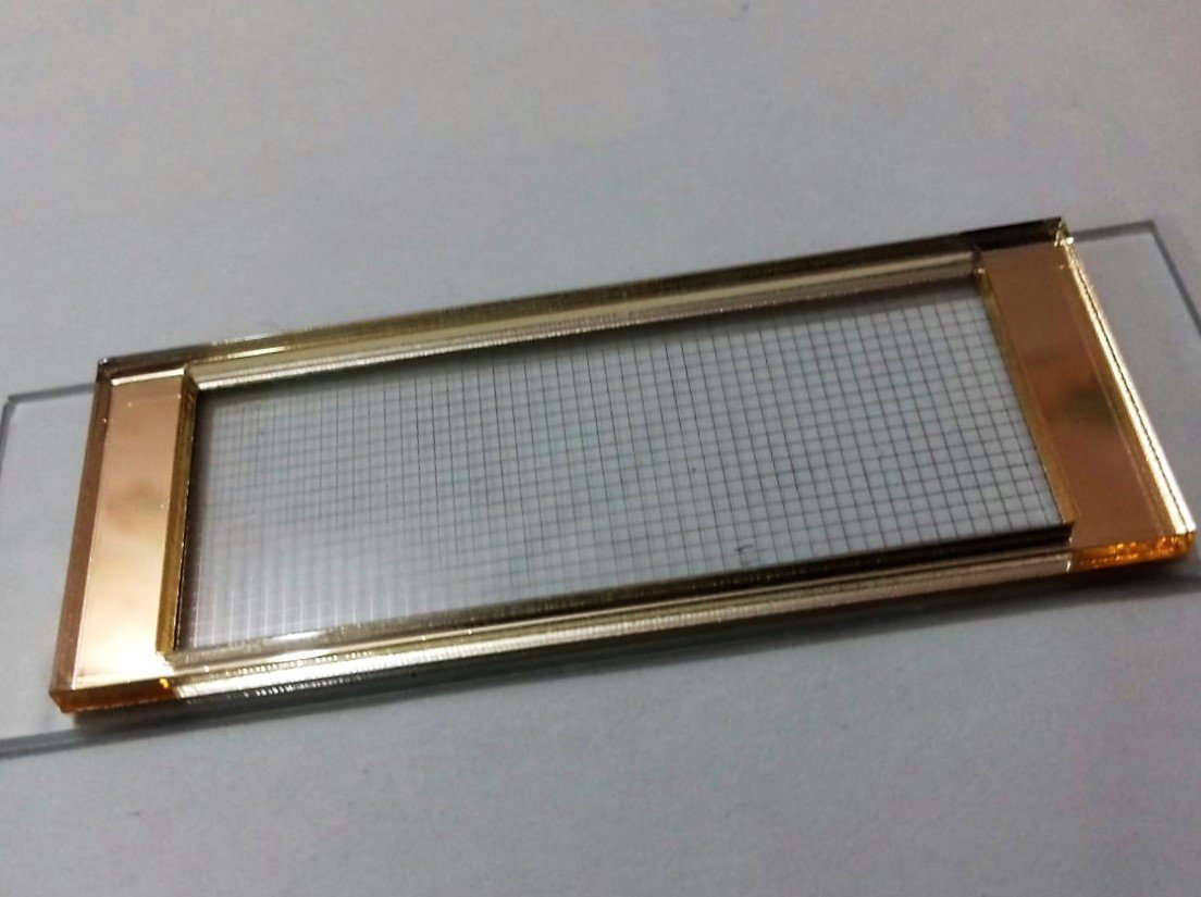 Gridded Sedgewick Rafter Counting Cell | Desertcart Philippines